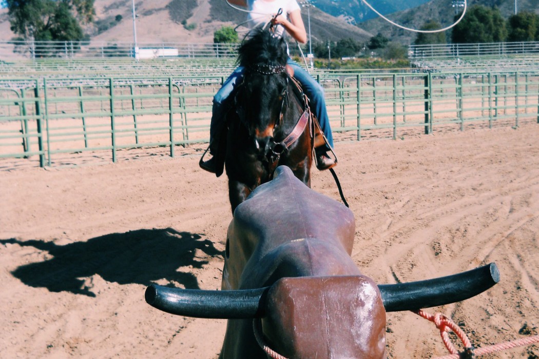 cal-poly-rodeo-5 - SLO Horse News