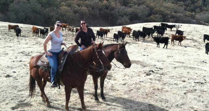 Work Ranch: A Place to Experience a Working Cattle Ranch | SLO Horse News