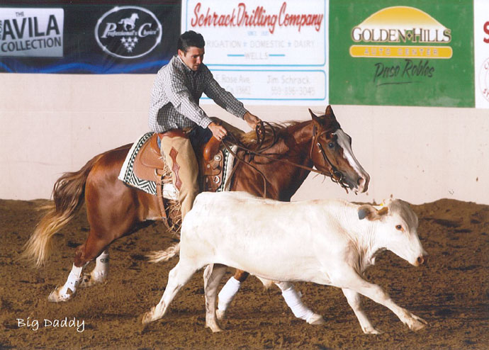 Irish Oaks Ranch | SLO Horse News