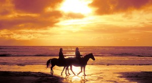 Let's Face It: Sun Exposure While Riding | SLO Horse News