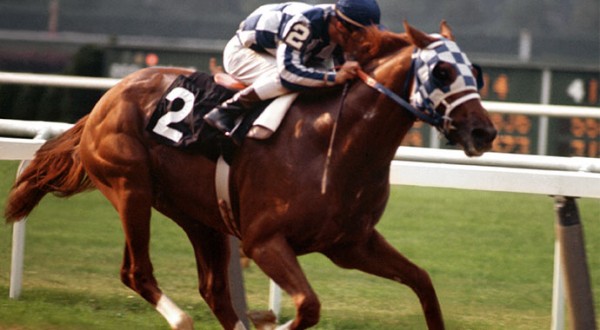 Khemosabi Superhorse of the 20th Century | SLO Horse News