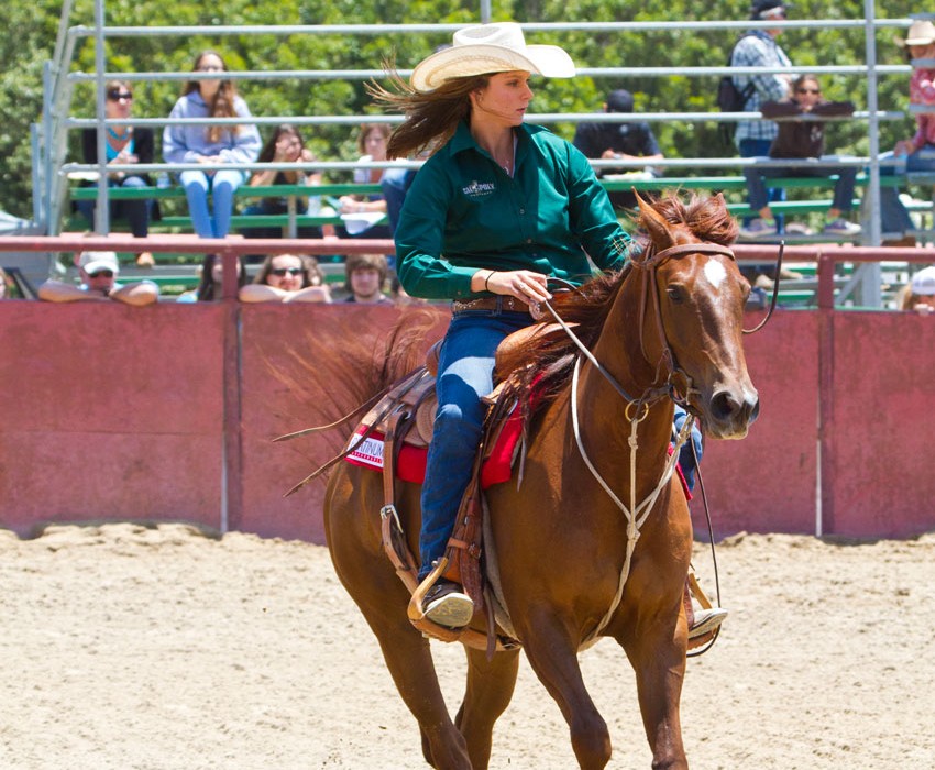 Cal-Poly-Horse-Sale-5 - SLO Horse News