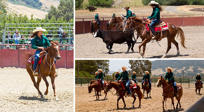 The NEW Cal Poly Horse Unit – A State of the Art Facility | SLO Horse News