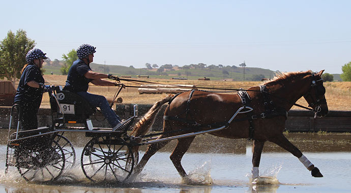 10 Steps to Planning A Horse Riding Holiday Party | SLO Horse News