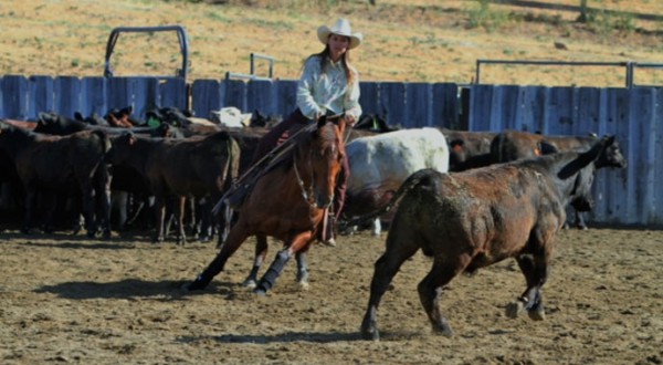 Ben Londo and Cal Poly Rodeo - SLO Horse News