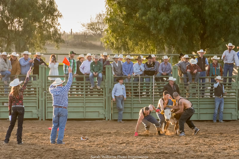 Cal Poly's 75th Anniversary Poly Royal Rodeo - SLO Horse News