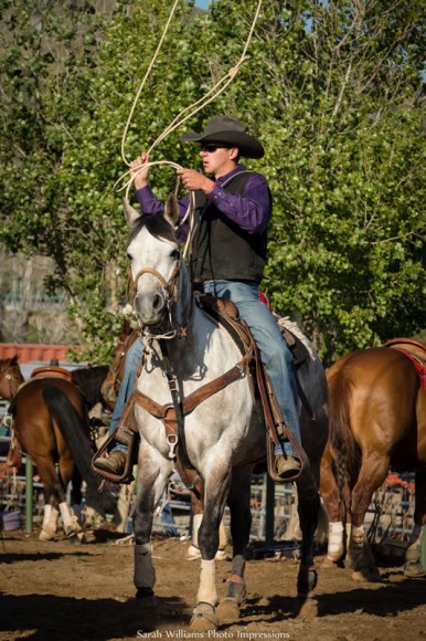 Cal Poly's 75th Anniversary Poly Royal Rodeo - SLO Horse News