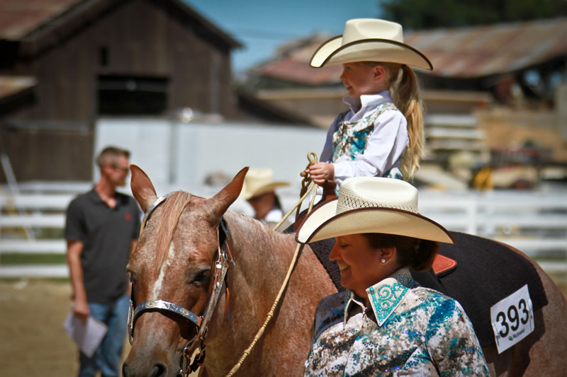 The NEW Cal Poly Horse Unit – A State of the Art Facility | SLO Horse News