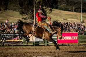 Cal Poly's 75th Anniversary Poly Royal Rodeo - SLO Horse News
