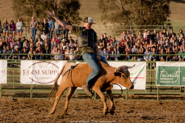 Cal Poly's 75th Anniversary Poly Royal Rodeo - SLO Horse News