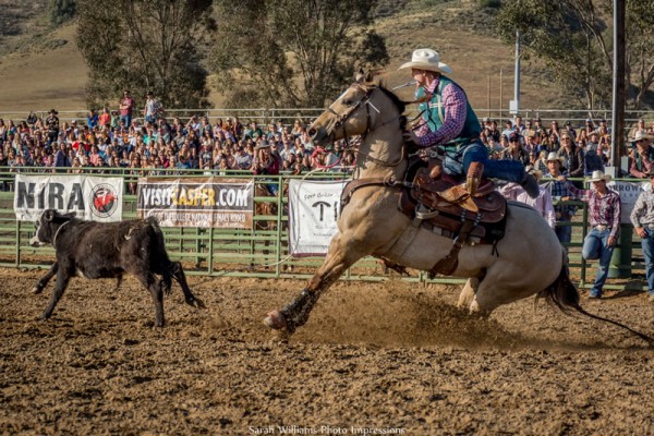 Cal Poly's 75th Anniversary Poly Royal Rodeo - SLO Horse News