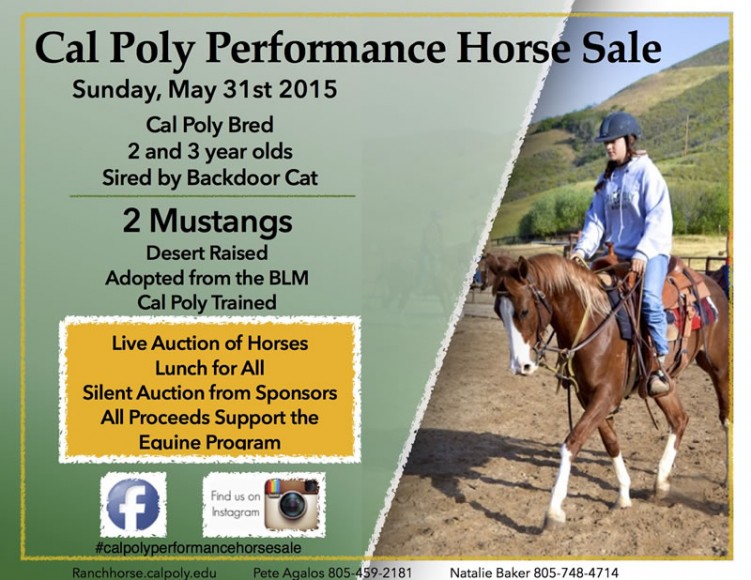 "Learn by Doing" Cal Poly's Quarter Horse Enterprise Project - SLO ...