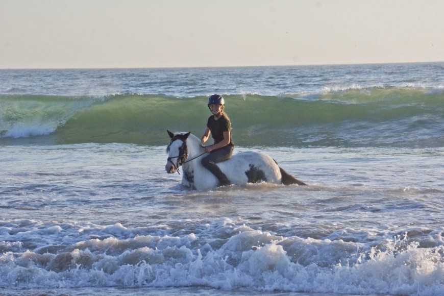 Khemosabi Superhorse of the 20th Century | SLO Horse News