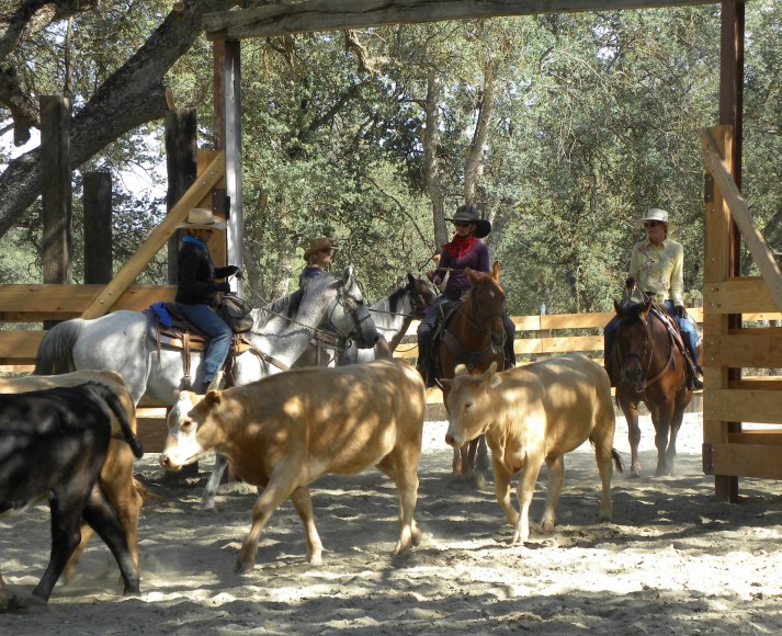 The Extraordinary V6 Ranch - SLO Horse News