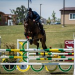 Flying Bay Hunter (1024x683) - SLO Horse News