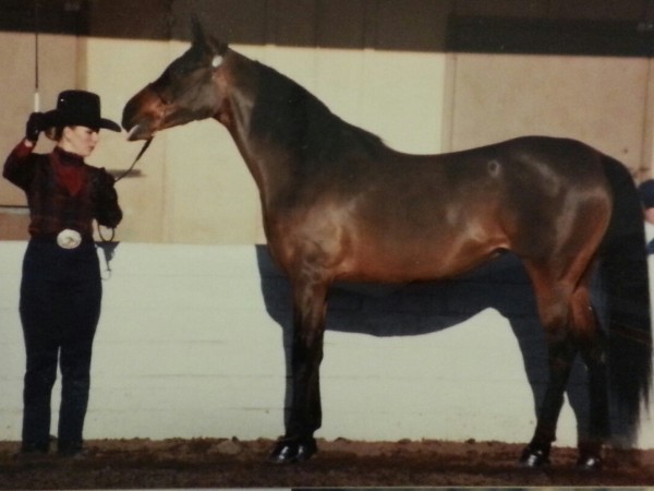 Ben Londo and Cal Poly Rodeo - SLO Horse News