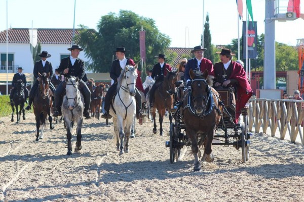 Khemosabi Superhorse of the 20th Century | SLO Horse News