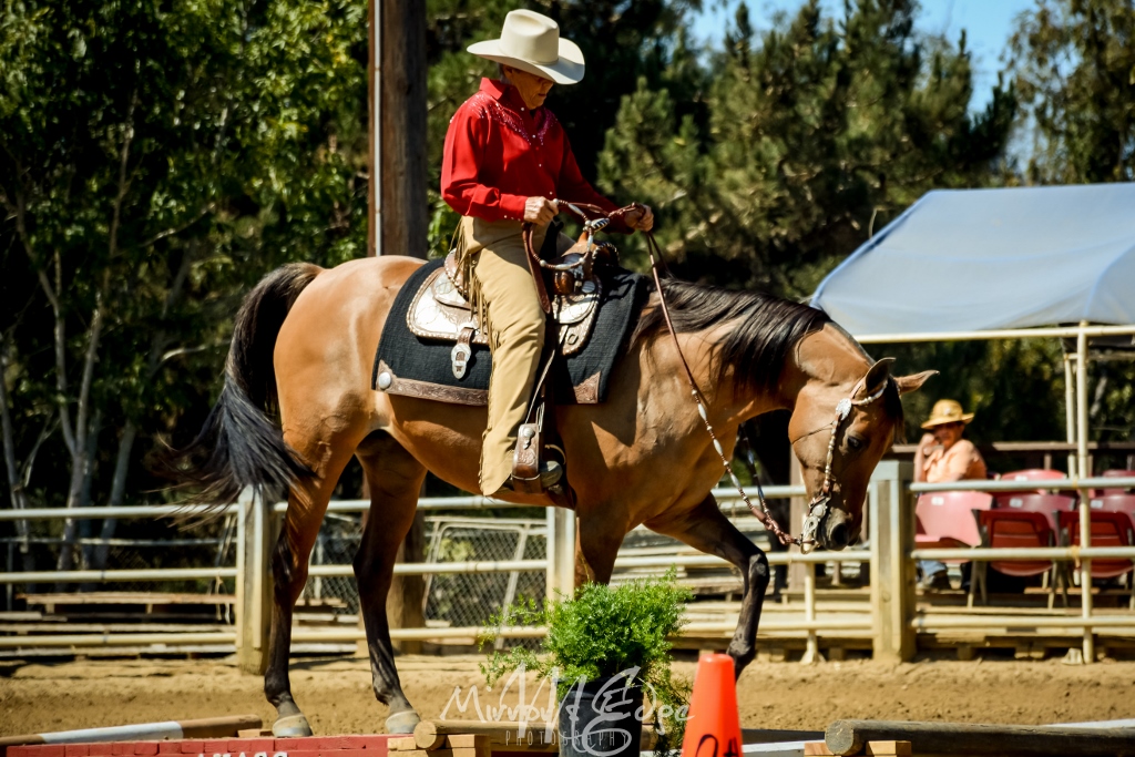 Three Ways Equestrians Can Make Sharing Multi-Use Trails Possible | SLO ...