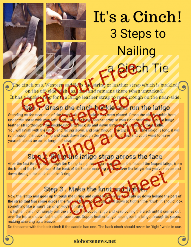 Its A Cinch: Three Steps to Nailing a Cinch Tie | SLO Horse News