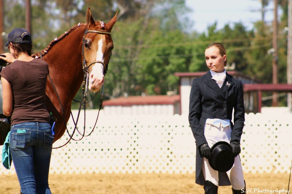 Rainy Day Activity Ideas for Getting Your Horse Out | SLO Horse News