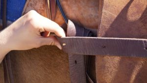 Its A Cinch: Three Steps to Nailing a Cinch Tie | SLO Horse News