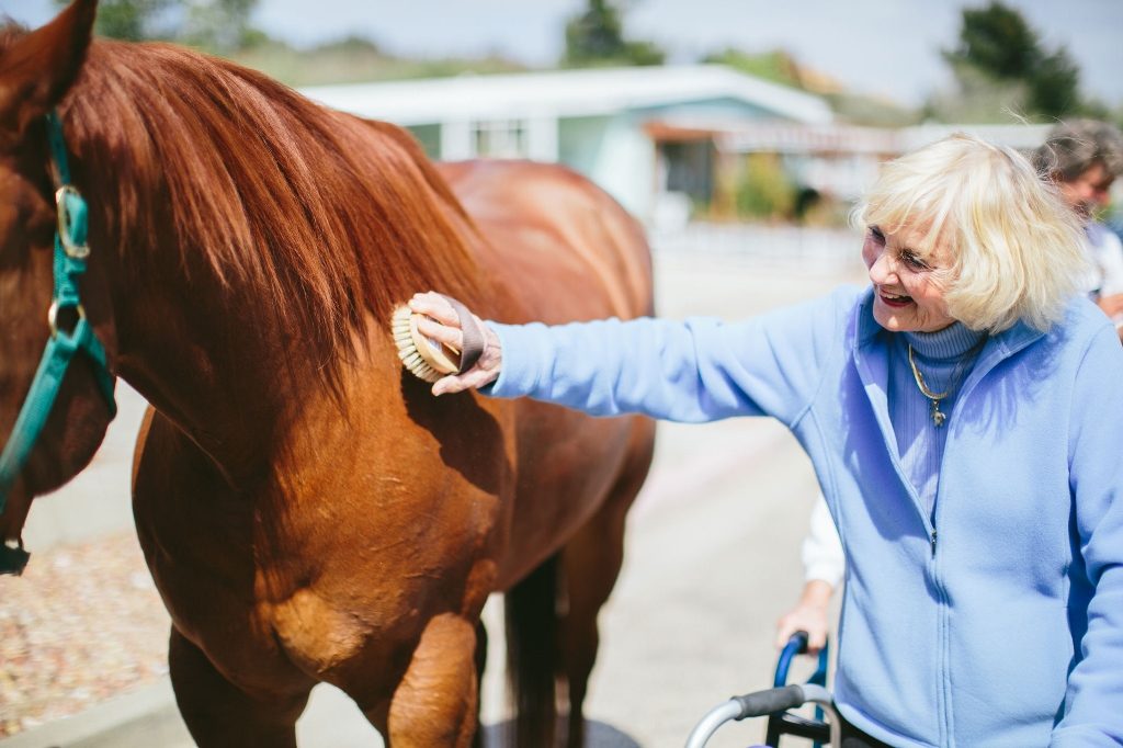 Equine Therapy for Senior Citizens - Making a Difference in the Moment ...