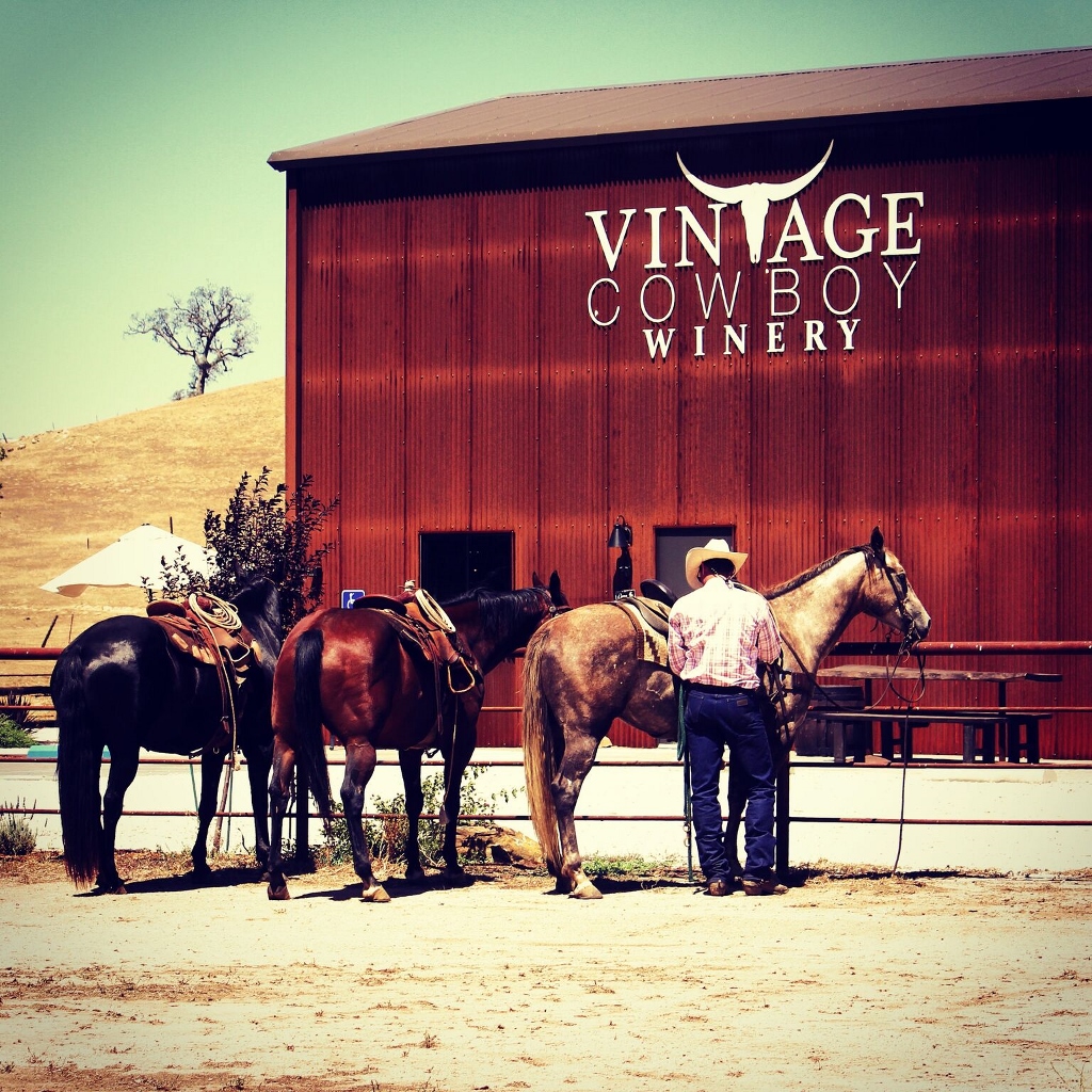 Cass Vineyard and Winery : Horseback Riding and So Much More | SLO ...