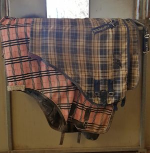 Its A Cinch: Three Steps to Nailing a Cinch Tie | SLO Horse News