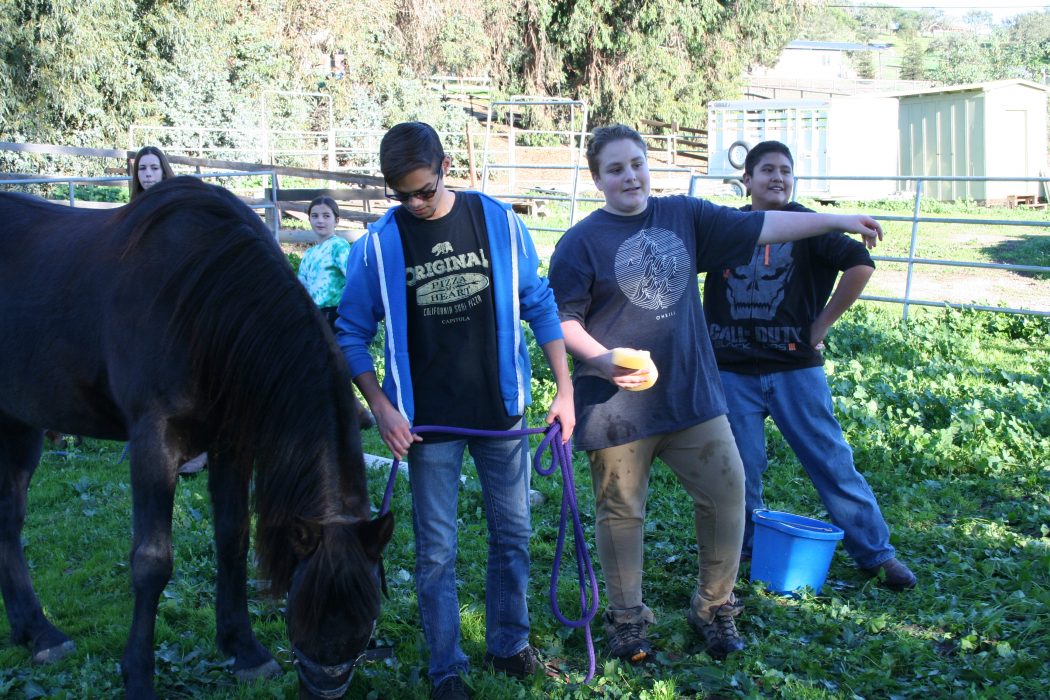 10 Steps to Planning A Horse Riding Holiday Party | SLO Horse News