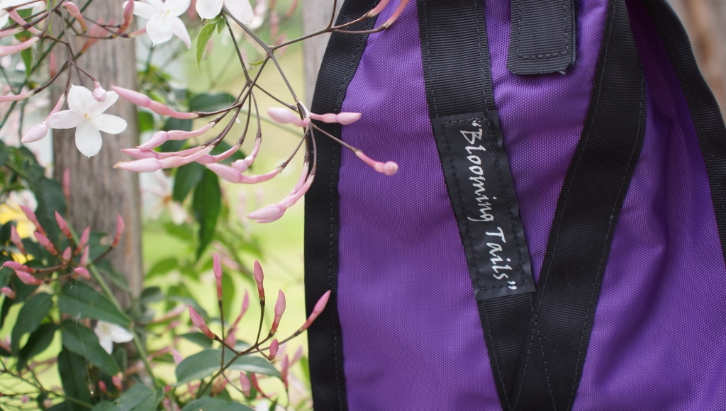 Its A Cinch: Three Steps to Nailing a Cinch Tie | SLO Horse News