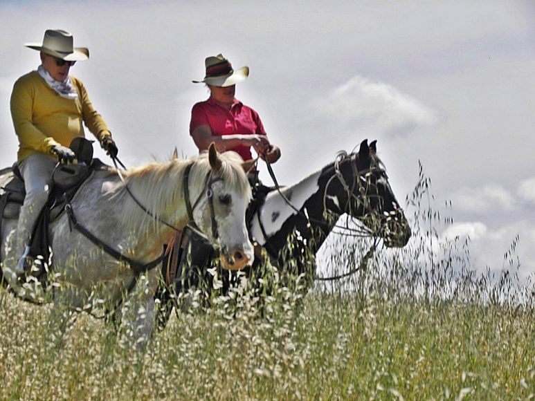 Work Ranch: A Place to Experience a Working Cattle Ranch | SLO Horse News