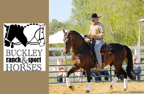 The NEW Cal Poly Horse Unit – A State of the Art Facility | SLO Horse News