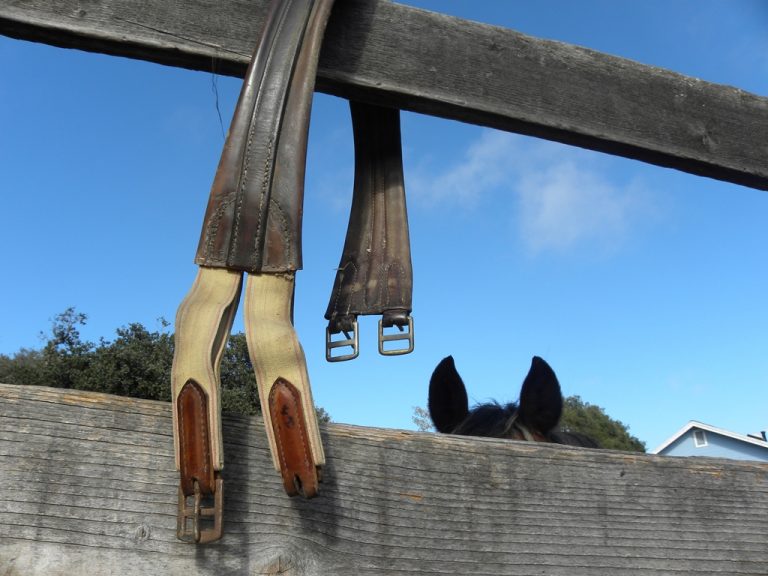 Its A Cinch: Three Steps to Nailing a Cinch Tie | SLO Horse News