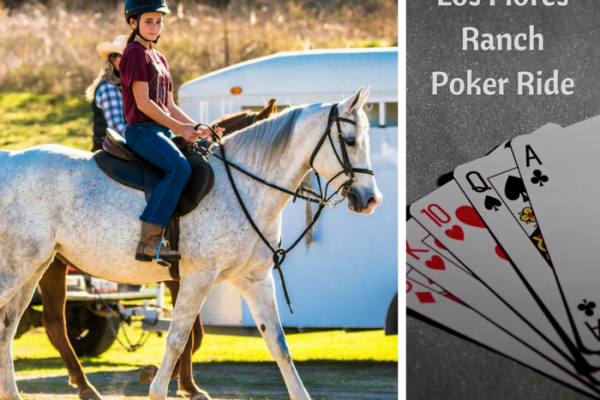 The Sticklers of Stickler Performance Horses | SLO Horse News