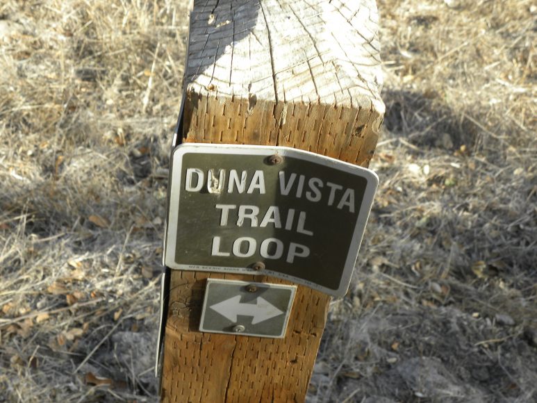 Duna Vista Loop Trail – Lopez Lake : Riding the SLO County Trails | SLO ...