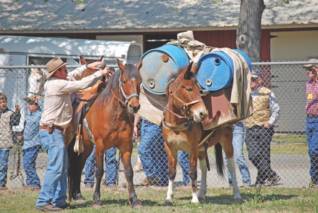 Cal Poly's 75th Anniversary Poly Royal Rodeo - SLO Horse News