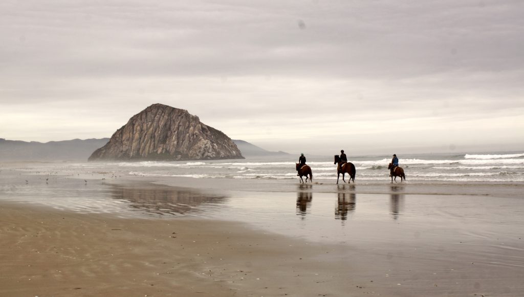 Morro Strand State Beach: Riding the SLO County Trails