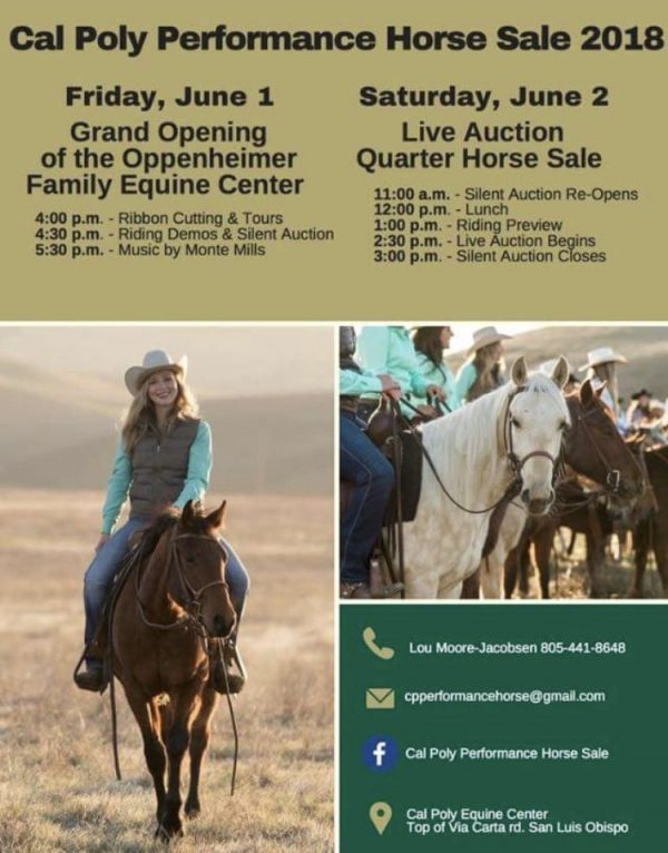 The NEW Cal Poly Horse Unit – A State of the Art Facility | SLO Horse News