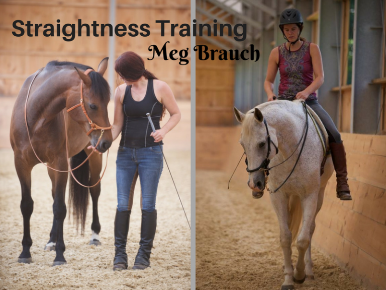 Release Your Inner Warrior : Mounted Archery Clinic | SLO Horse News