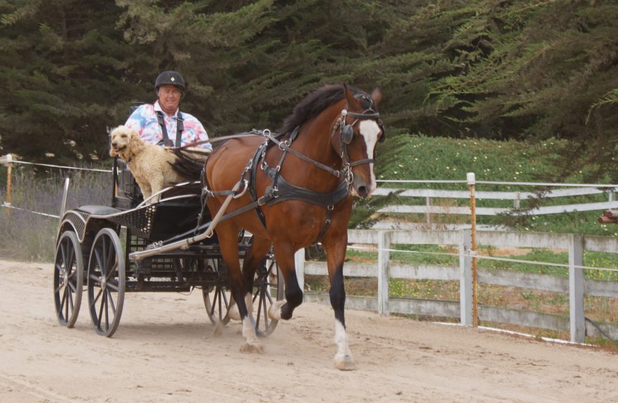 Ben Londo and Cal Poly Rodeo - SLO Horse News