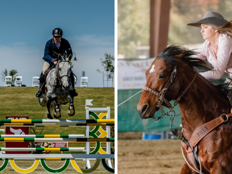 Horses, Friends, Fun : Golegã Fair at Night | SLO Horse News