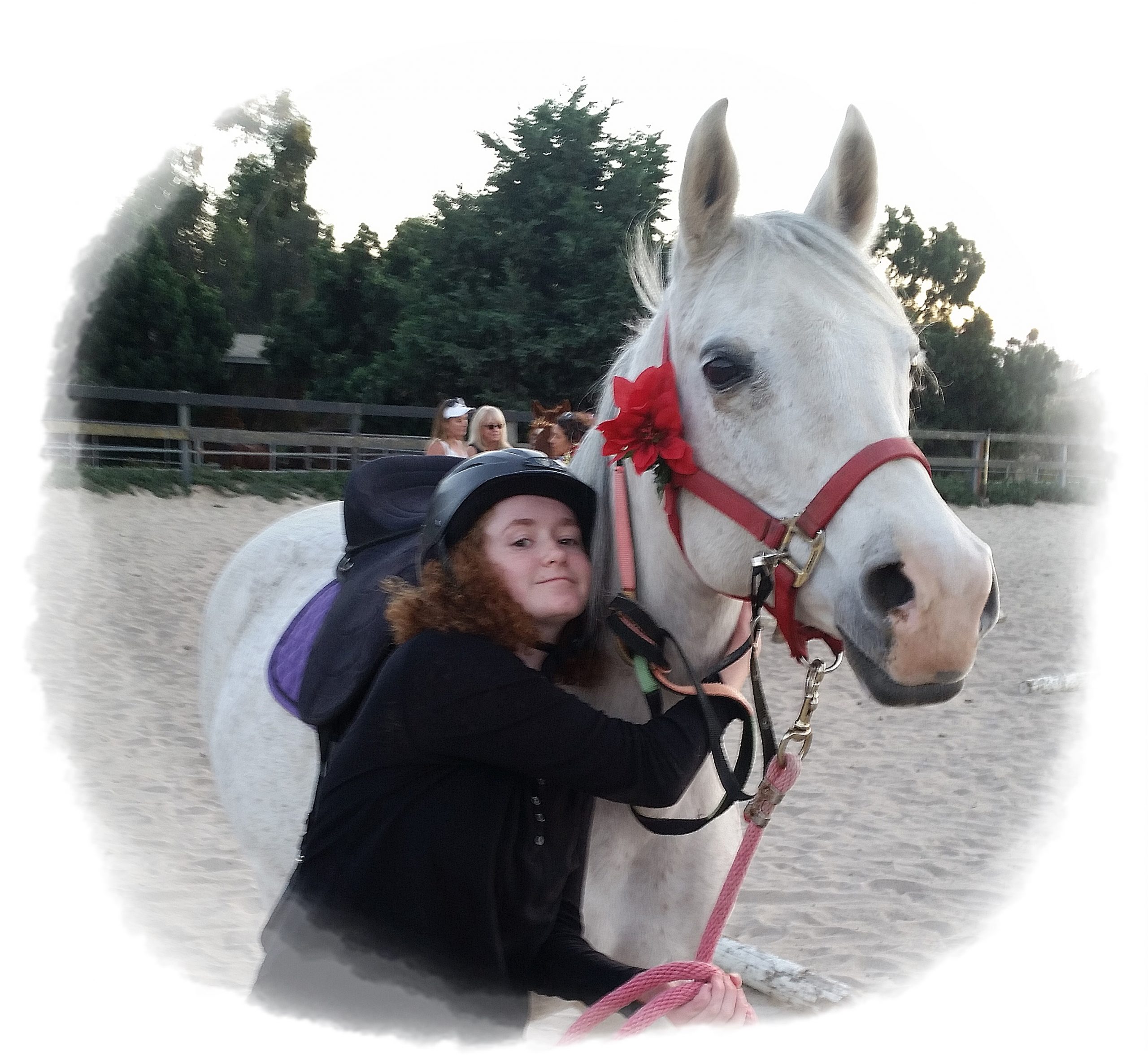 CANTER USA: Giving Off the Track Thoroughbreds a New Start | SLO Horse News