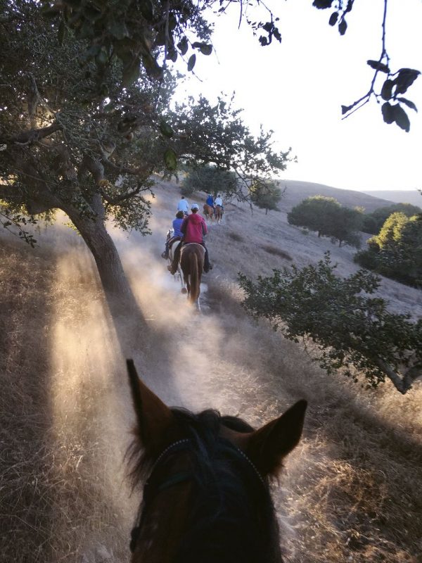 Los Flores Ranch Park Trails : Riding the Trails Near SLO County | SLO ...