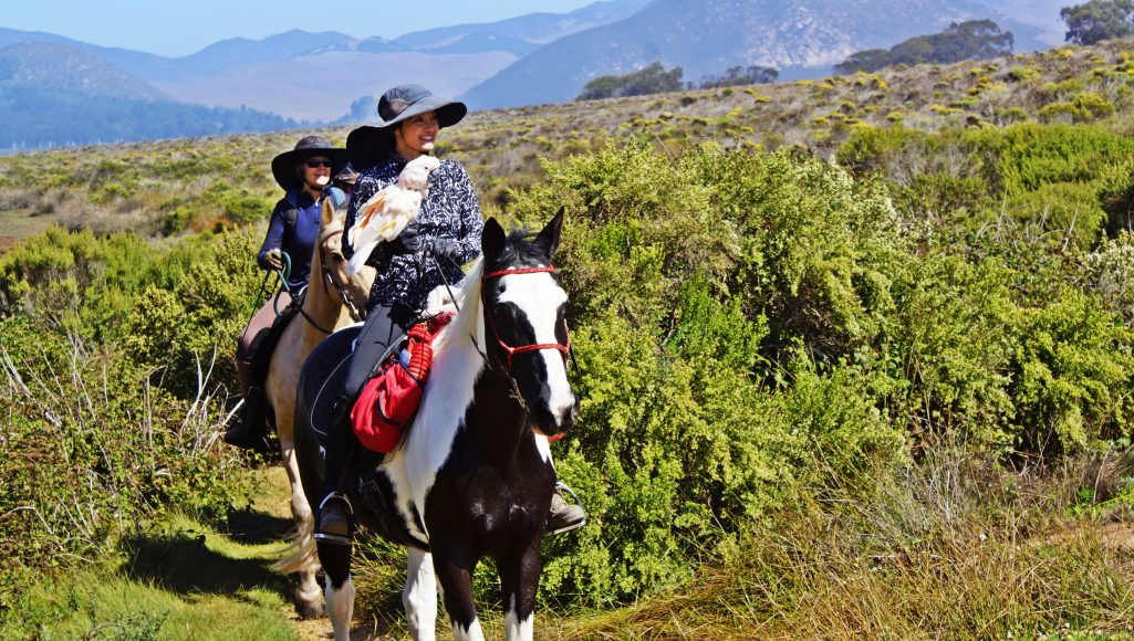 Duna Vista Loop Trail – Lopez Lake : Riding the SLO County Trails | SLO ...