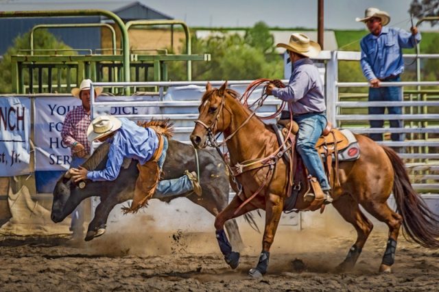 Capturing Joy and the Pioneer Spirit : Creston Rodeo Impressions - SLO ...