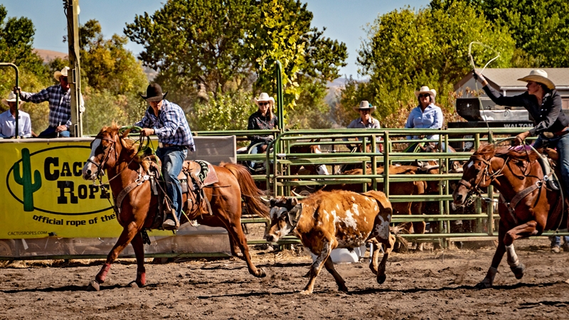 Capturing Joy and the Pioneer Spirit : Creston Rodeo Impressions - SLO ...