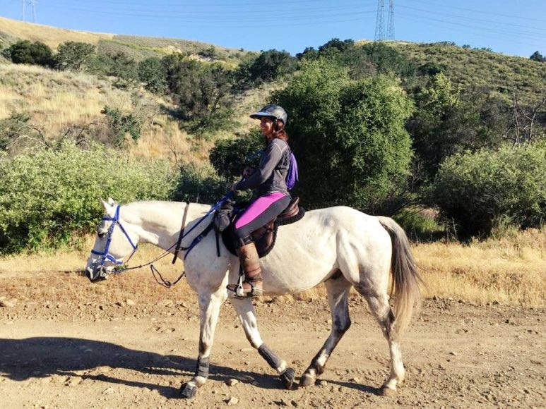 Learning About and Loving Long Distance Riding | SLO Horse News