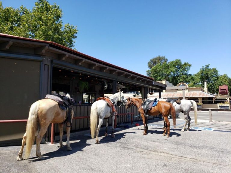 Work Ranch: A Place to Experience a Working Cattle Ranch | SLO Horse News
