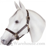 Fun and Function of the Horse Halter | SLO Horse News