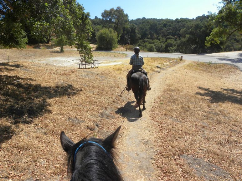 Horse Trail Rides at Lopez Lake : Riding the SLO County Trails | SLO ...